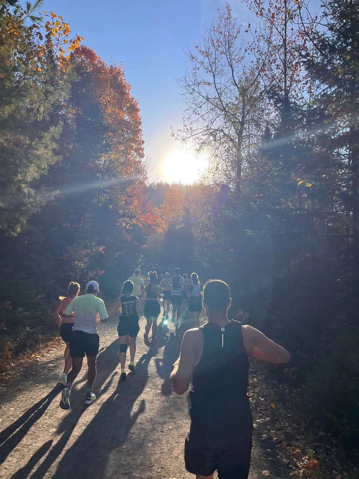 Events | Bois in Motion | Races, Community Runs & Meetups in Ontario